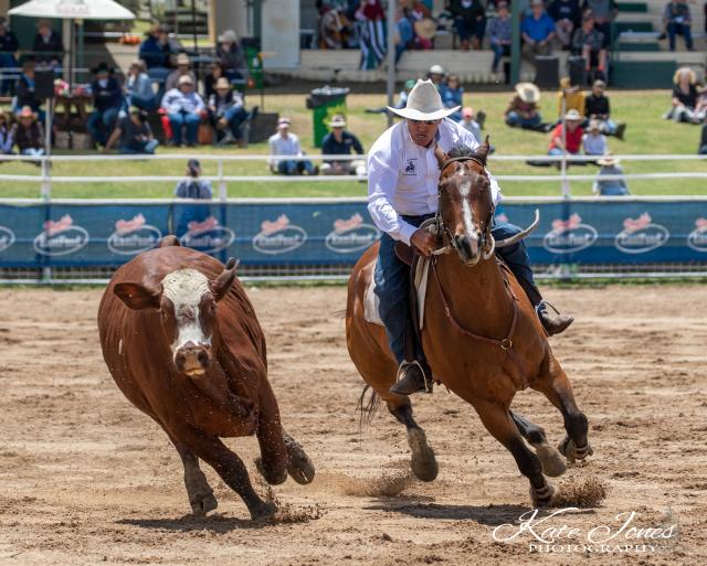Campdrafting boom | Queensland Farmer Today