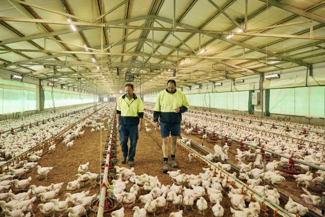 More reasons to love chicken meat | Queensland Farmer Today