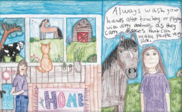 The importance of farm safety | Queensland Farmer Today